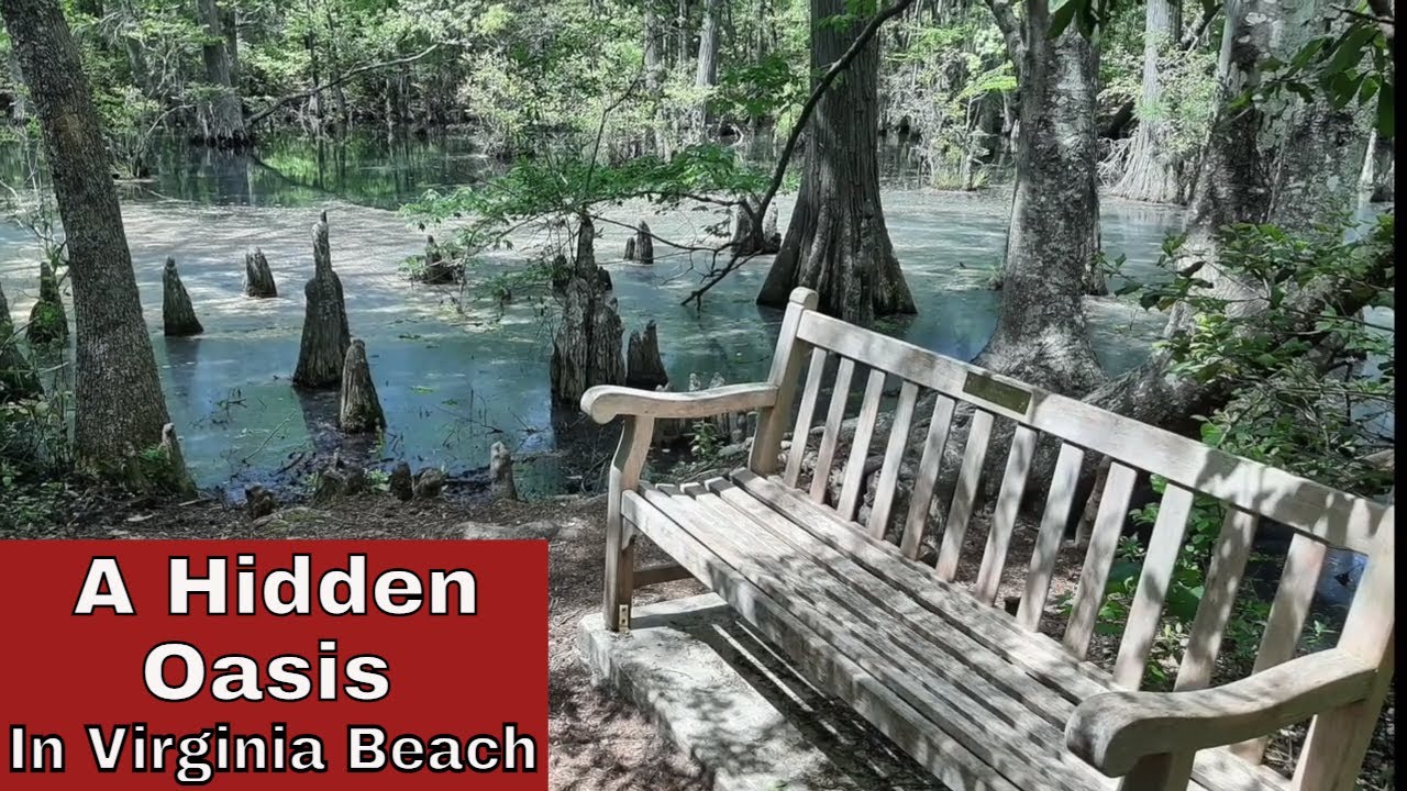 Visiting First Landing State Park in Virginia Beach