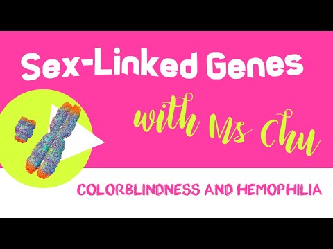 Genetics: Sex-linked Genes