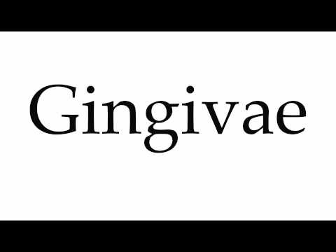 How to Pronounce Gingivae