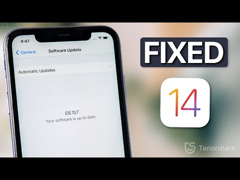 iOS 14 Update Not Showing Up on iPhone/Your Software is Up to Date? Here is the Fix