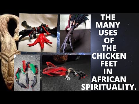 The Many Uses  of The Chicken Feet in African Spirituality.