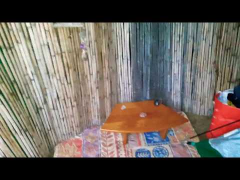 Update Sträucher~Iglo//Verbesserungen & Verschönerungen ( containert ) 🤗