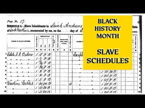 Black History Month - Slave Schedules