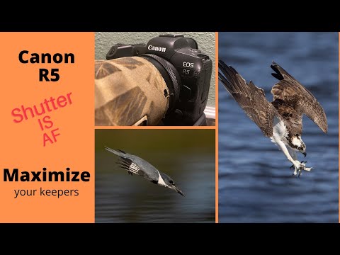 Canon R5: Maximize keeper rate (bird photography) (4147C002)