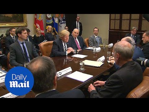 Trump meets with agency heads to strengthen cyber security - Daily Mail
