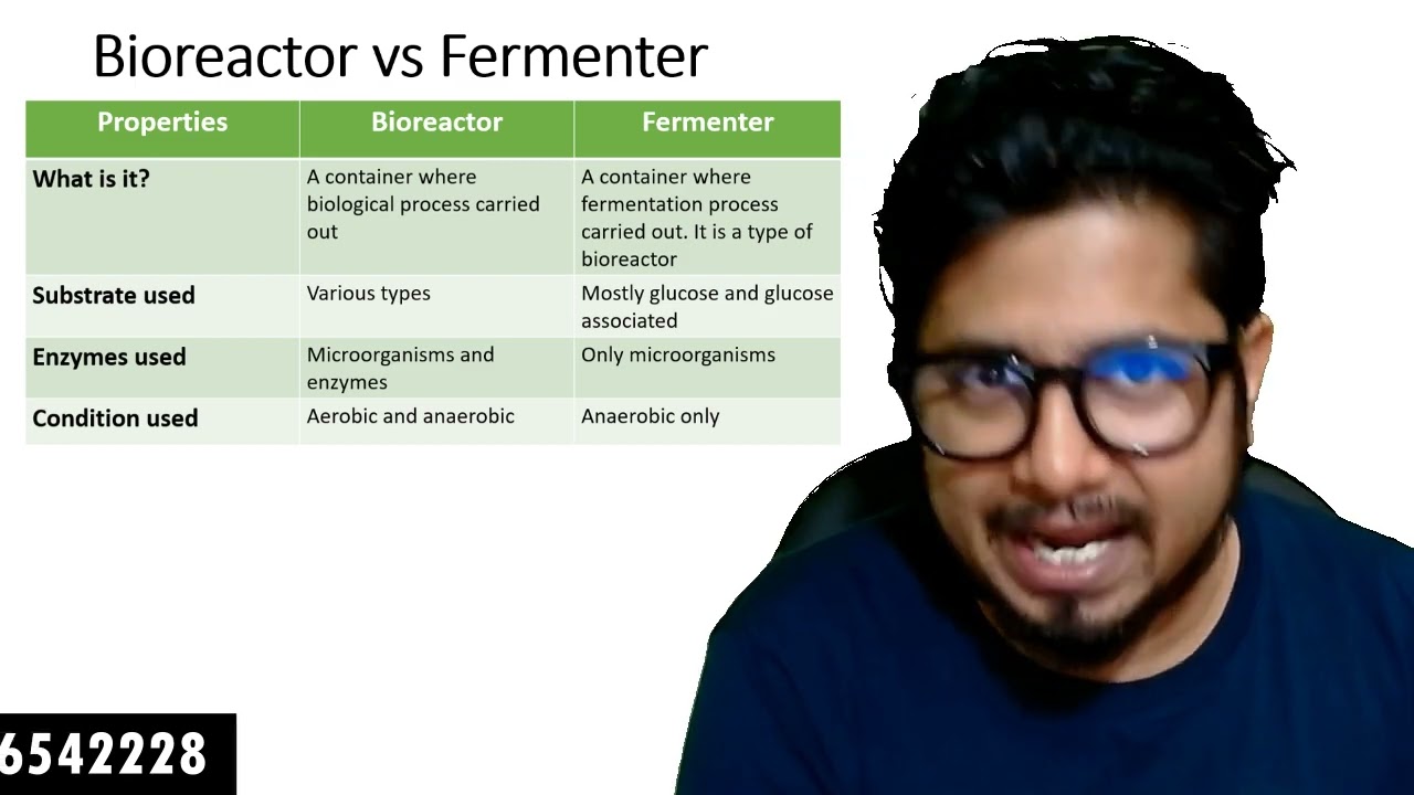 Bioreactor vs fermenter | The difference between bioreactor and fermenter