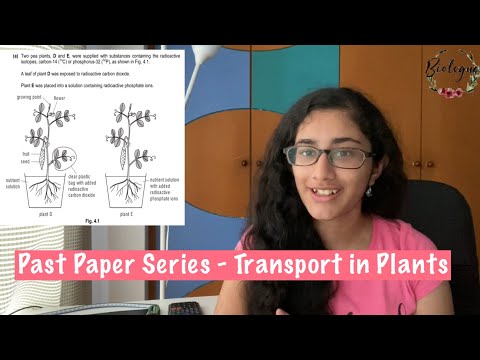IGCSE Past Paper Series - Transport in Plants