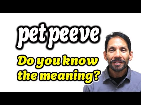 Do you know the meaning of "pet peeve"? [ ForB English Lesson ]