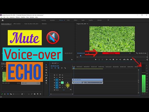HOW TO REMOVE ECHO DURING VOICE-OVER RECORDING IN ADOBE PREMIERE PRO 2020