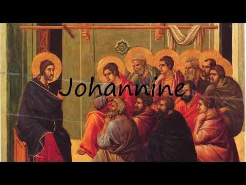 How to Pronounce Johannine?