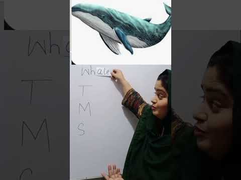 Words ending with "ale" || English Learning #shorts