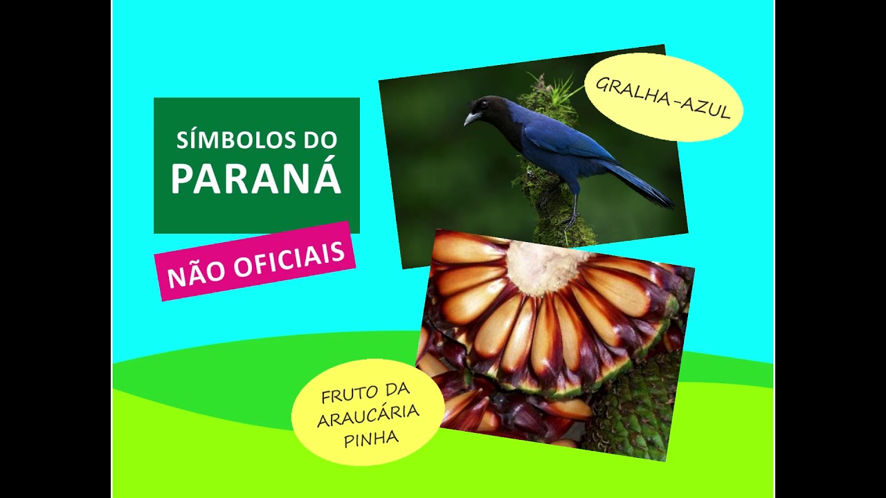 Comunidades Tradicionais do Paraná
