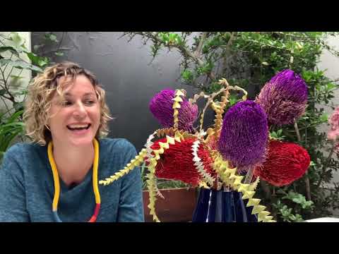 The most eccentric flower - Banksia