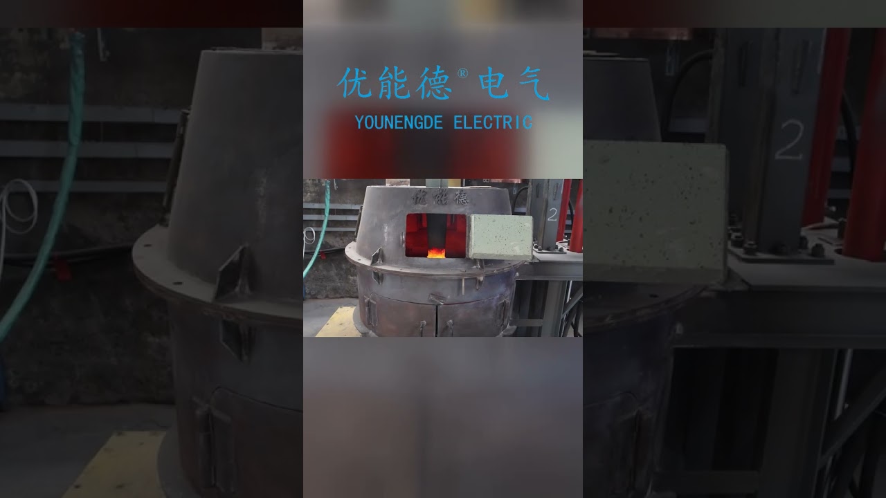 Younengde’s Global Projects: From China to the World