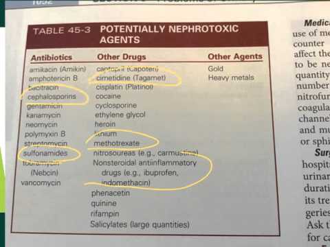 GU Assessment
