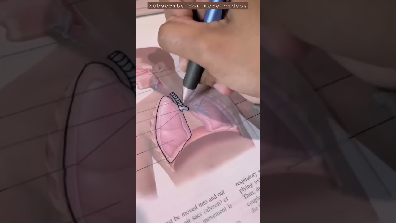 Magic Sticky Notes #1