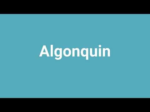 'Algonquin' Meaning and Pronunciation