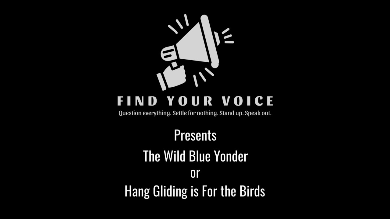 The Wild Blue Yonder