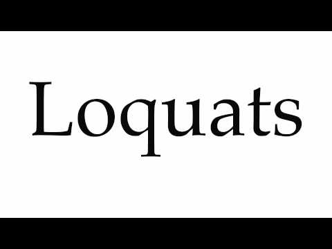How to Pronounce Loquats