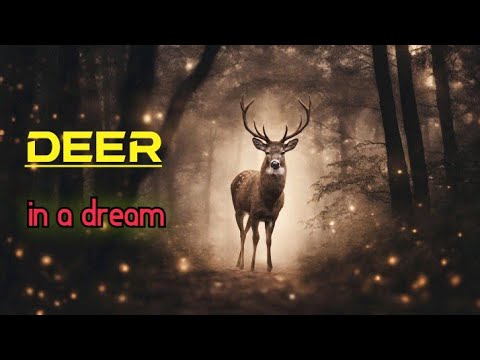 Deer dream meaning and symbolism
