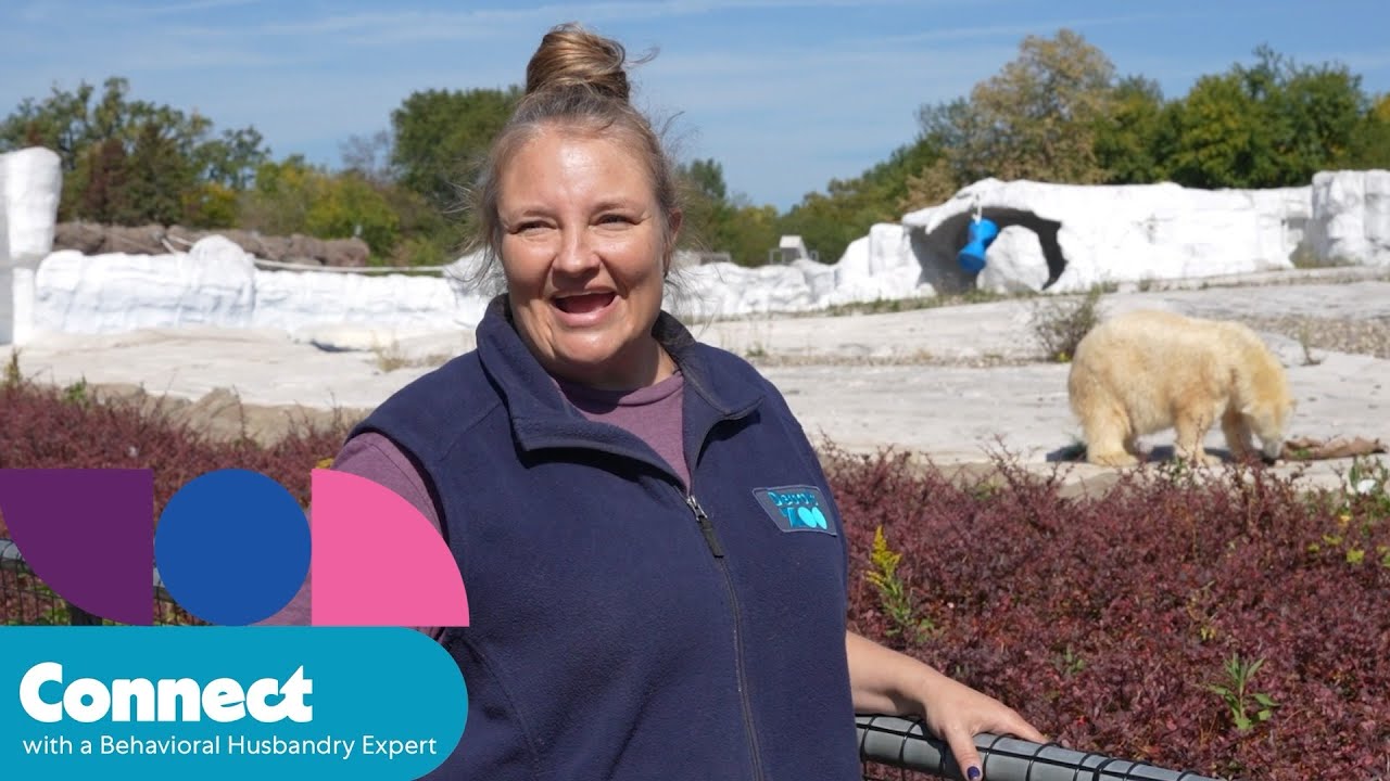 Detroit Zoo | Connect with a Behavioral Husbandry Expert
