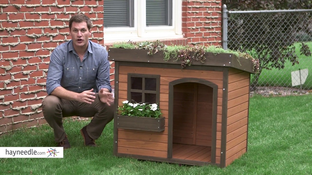 Boomer & George Lucky Green Roof Dog House - Product Review Video