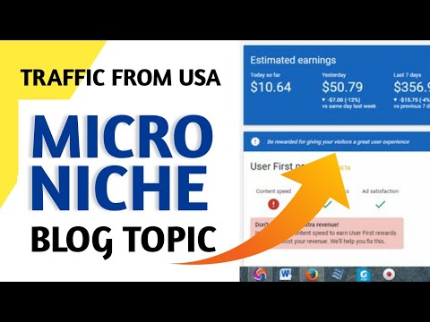 Micro niche website | Micro niche blog topics | Micro niche blog ideas | Micro Niche Website 2021
