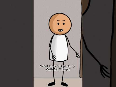 What do you call a Fly with no wings?!🤣🤣🤣🪰🤣🤣🤣🪰 #memes #funnyshorts #follow #viral #funnyvideos