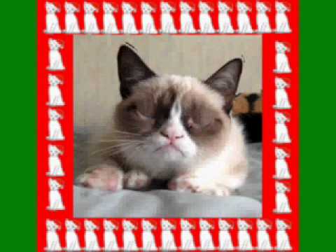 Grumpy Cat's Christmas Message to Santa