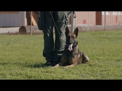 K-9 Fitness - San Diego County Sheriff's Department