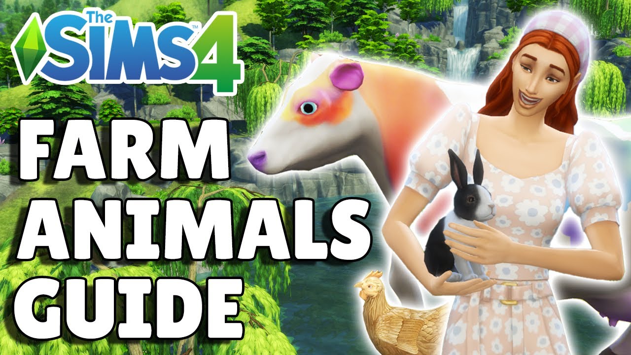 Complete Farm Animals Guide [Birds, Rabbits, Chickens, Cows, Llamas] | The Sims 4 Cottage Living
