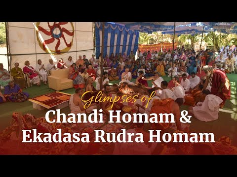 Glimpses of Chandi Homam & Ekadasa Rudra Homam | Devotees from Zone 5 ...