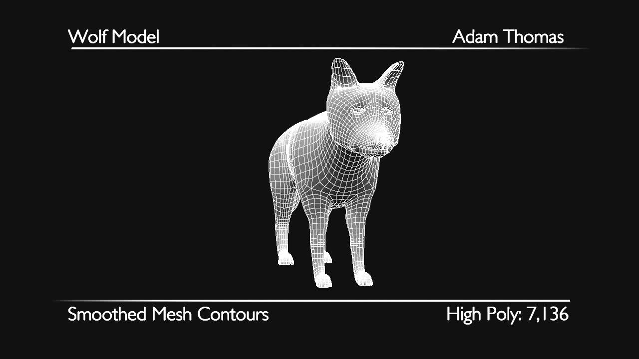 3D Wolf Model Turnaround