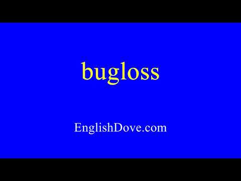 How to pronounce bugloss in American English