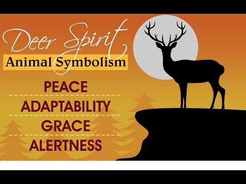 Deer Spirit Animal What Does it Symbolize