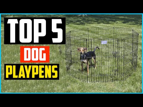 ✅Top 5 Best Dog Playpens Review in 2024