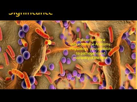 Normal Microbial flora-Medical Microbiology