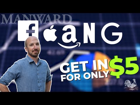 How To Buy A $2,000 stock For Just $50 - BEST Online Brokerage For Fractional Shares