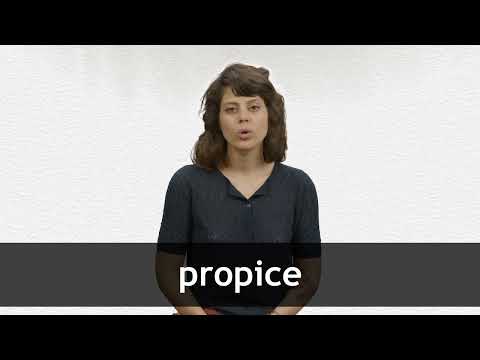 English Translation of “PROPICE” | Collins French-English Dictionary