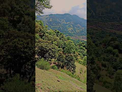 A place like Heaven