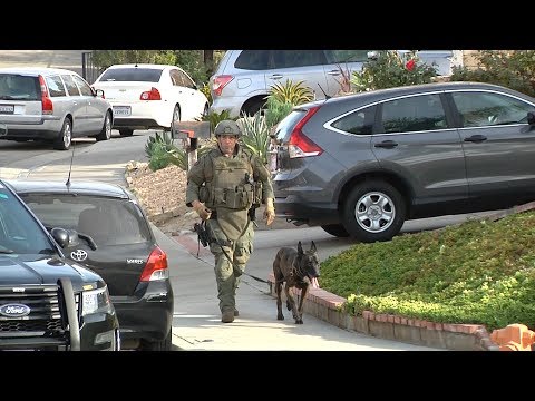 Santa Clarita deputies search Saugus neighborhood for vehicle theft suspect