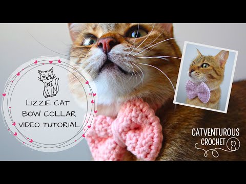 Lizzie Cat Bow Collar - Catventurous Crochet