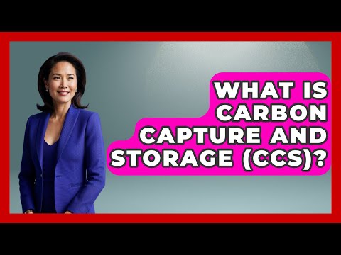 What Is Carbon Capture And Storage (CCS)? - Making Politics Simple