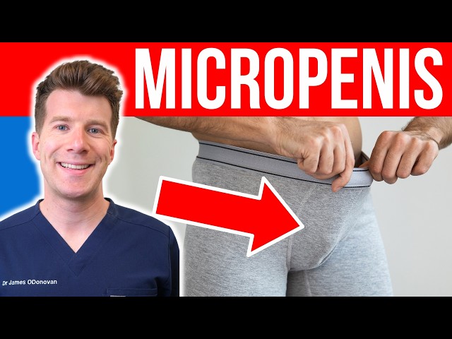 Understanding Micropenis: Causes, Symptoms, Diagnosis, and Treatment ...