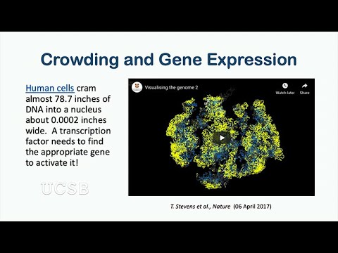 Randomness in Biological Systems