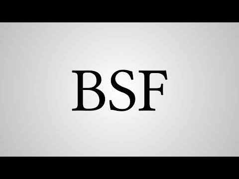 What Does "BSF" Stand For?