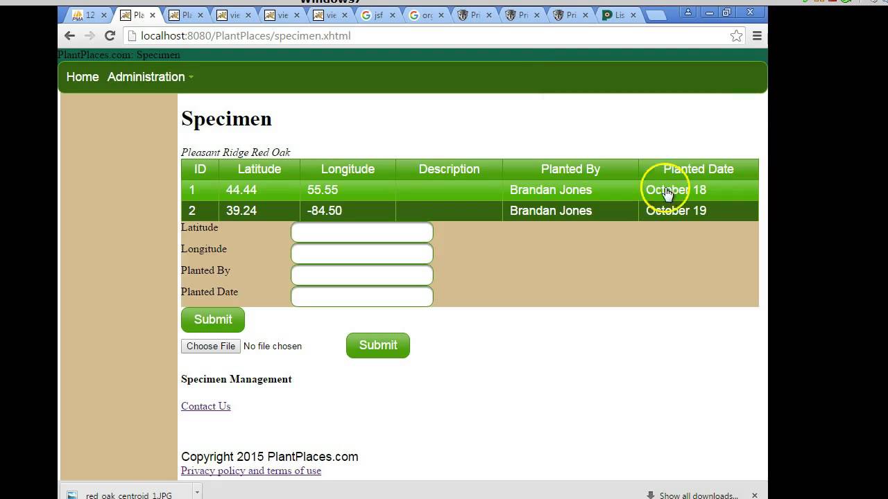 PrimeFaces p:fileUpload and Apache IOUtils to save an image