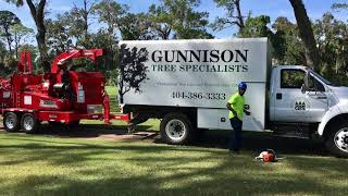 3 Best Tree Services in Atlanta, GA - Expert Recommendations