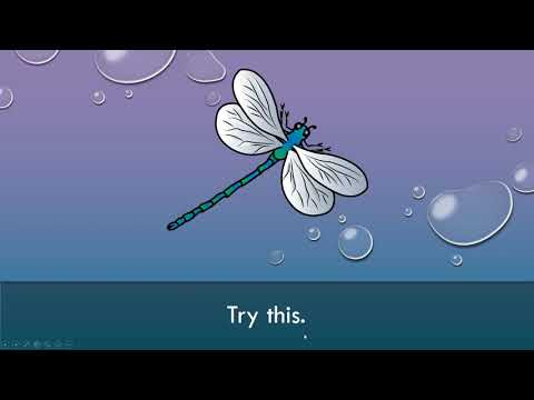 Week 10 Day 2 The Dragonfly Rhyming Long i Words