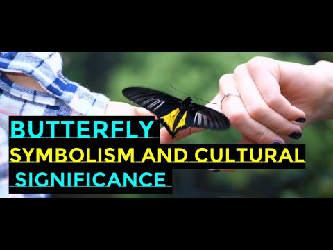 Butterfly Symbolism and Cultural Significance II Butterfly spirituality